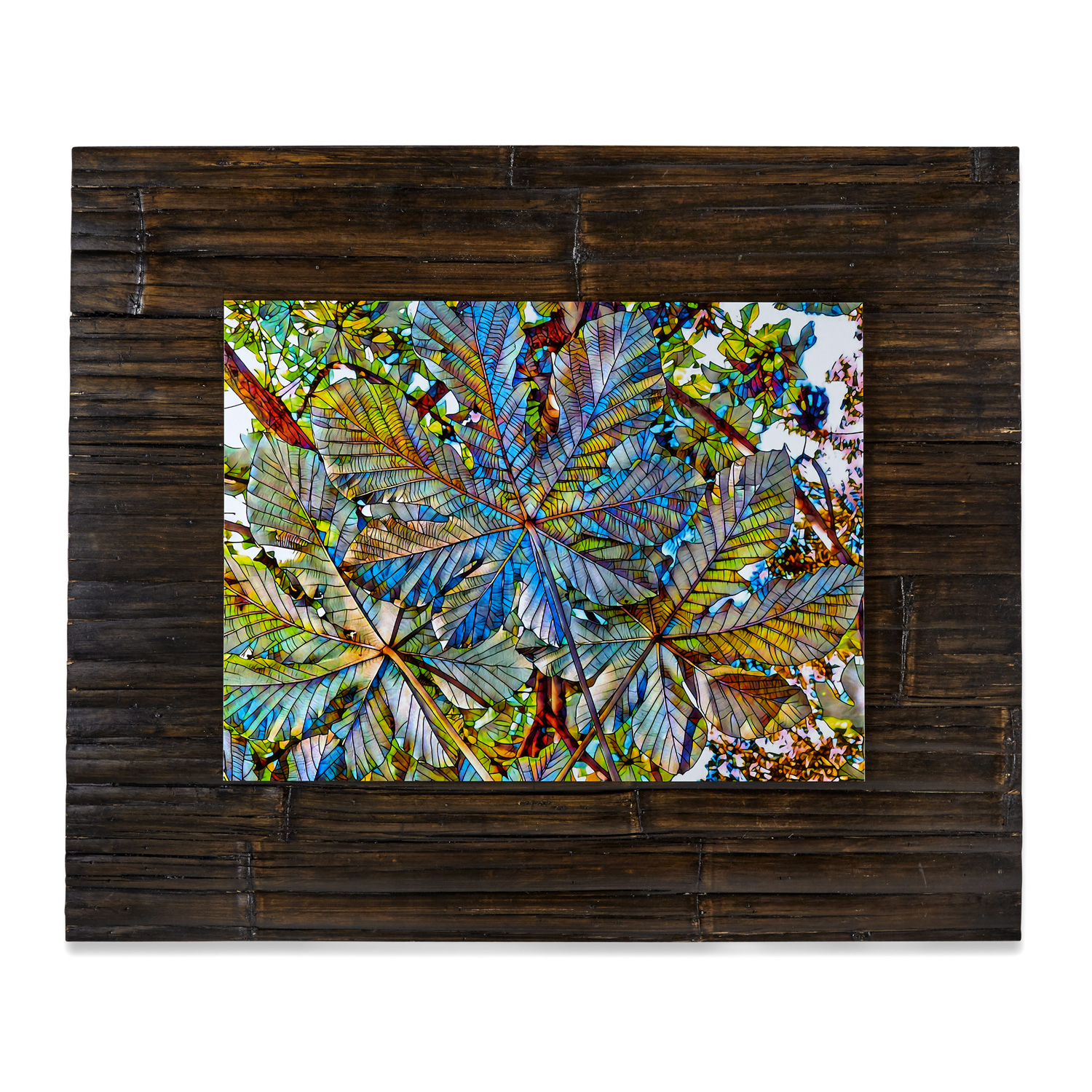 FRAGMENTS -Collection – Sanchez Arias Fine Art Photography